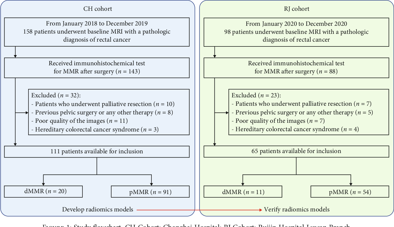 Figure 1 From Predicting Mismatch Repair Status In Rectal Cancer Using