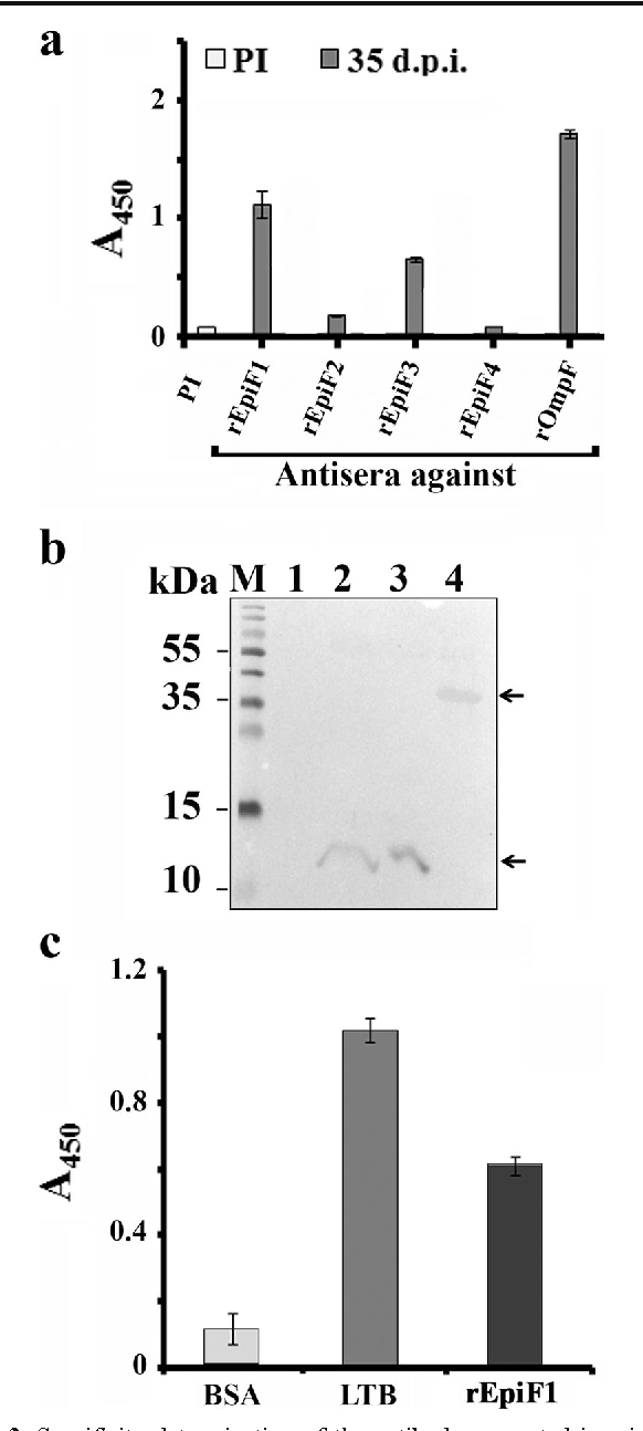 Figure 1 From Biotechnologically Relevant Enzymes And Proteins