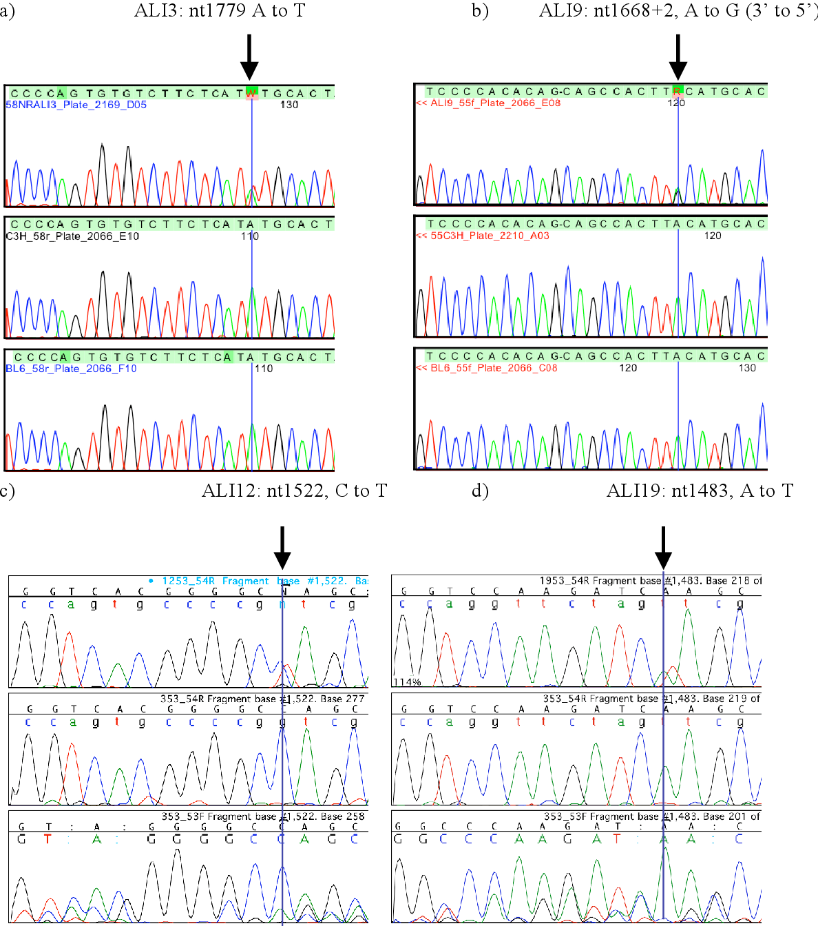 Figure 1 From Implementation And Optimization Of A Large Scale Enu