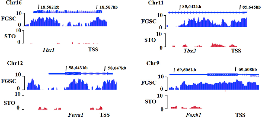 Figure 1 From Comparison Of Rna M6a And Dna Methylation Profiles