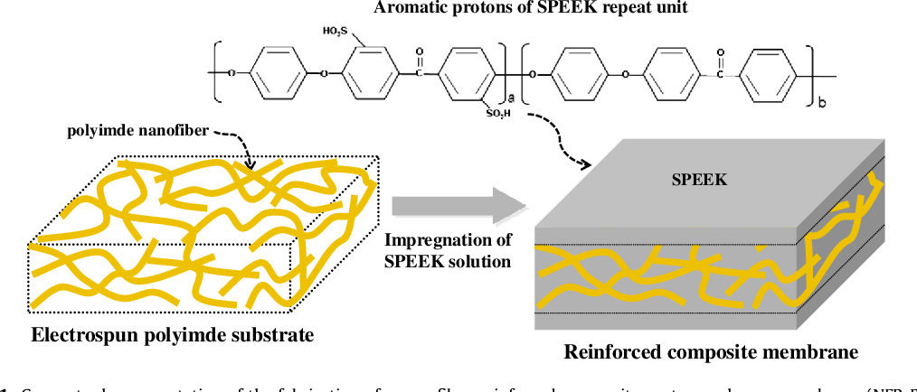 Figure 1 From Sulfonated Polyether Ether Ketone Speek Based Composite