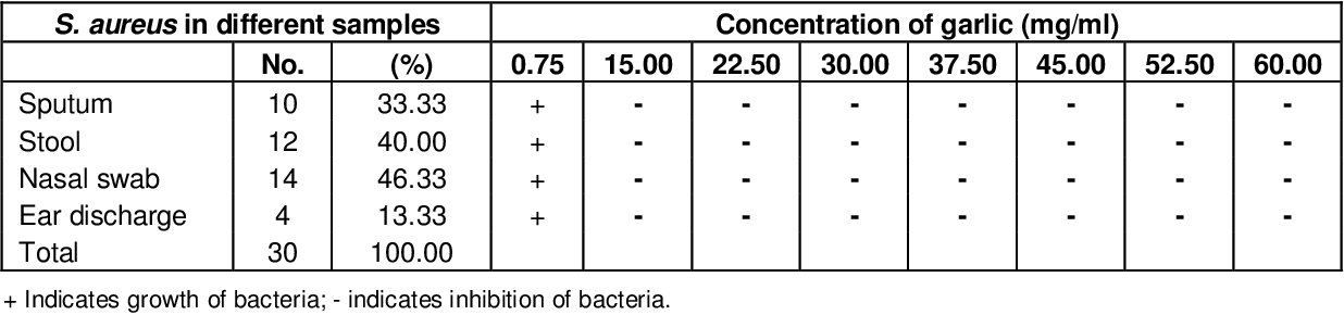 Antibacterial Effect Of Garlic Allium Sativum On Staphylococcu