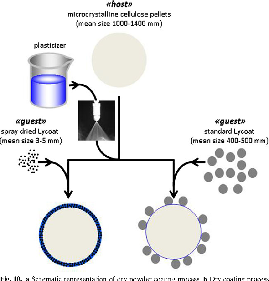 Figure 7 From A Statistical Approach To Optimize The Spray Drying Of