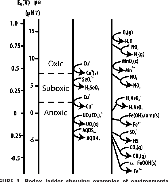 Pdf Biogeochemical Redox Processes And Their Impact On Contaminant