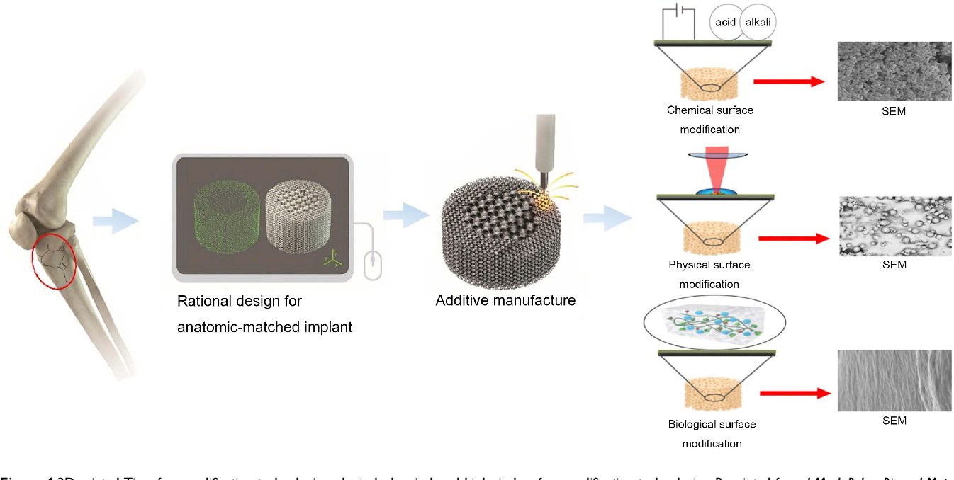 Figure 4 From Nanoscale Morphologies On The Surface Of 3d Printed