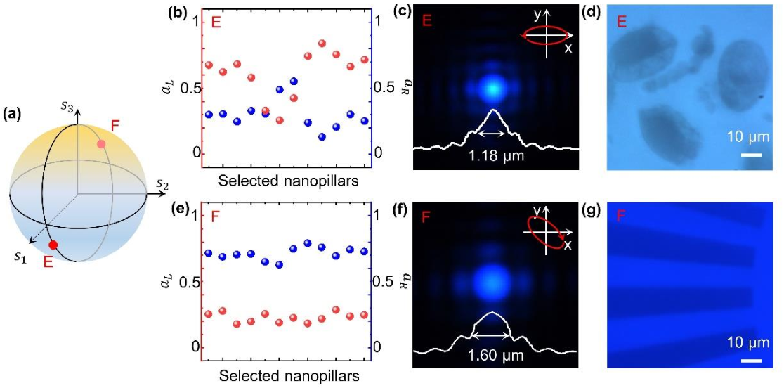 Pdf Highly Efficient Metasurface Quarter‐wave Plate With Wave Front