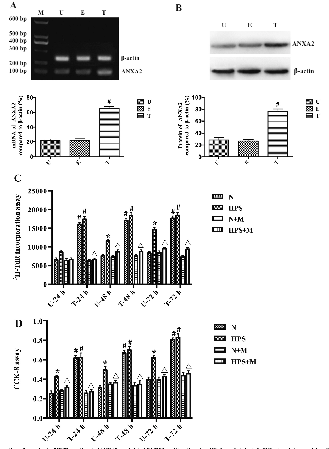 Figure 1 From Annexin A2‐modulated Proliferation Of Pulmonary Arterial