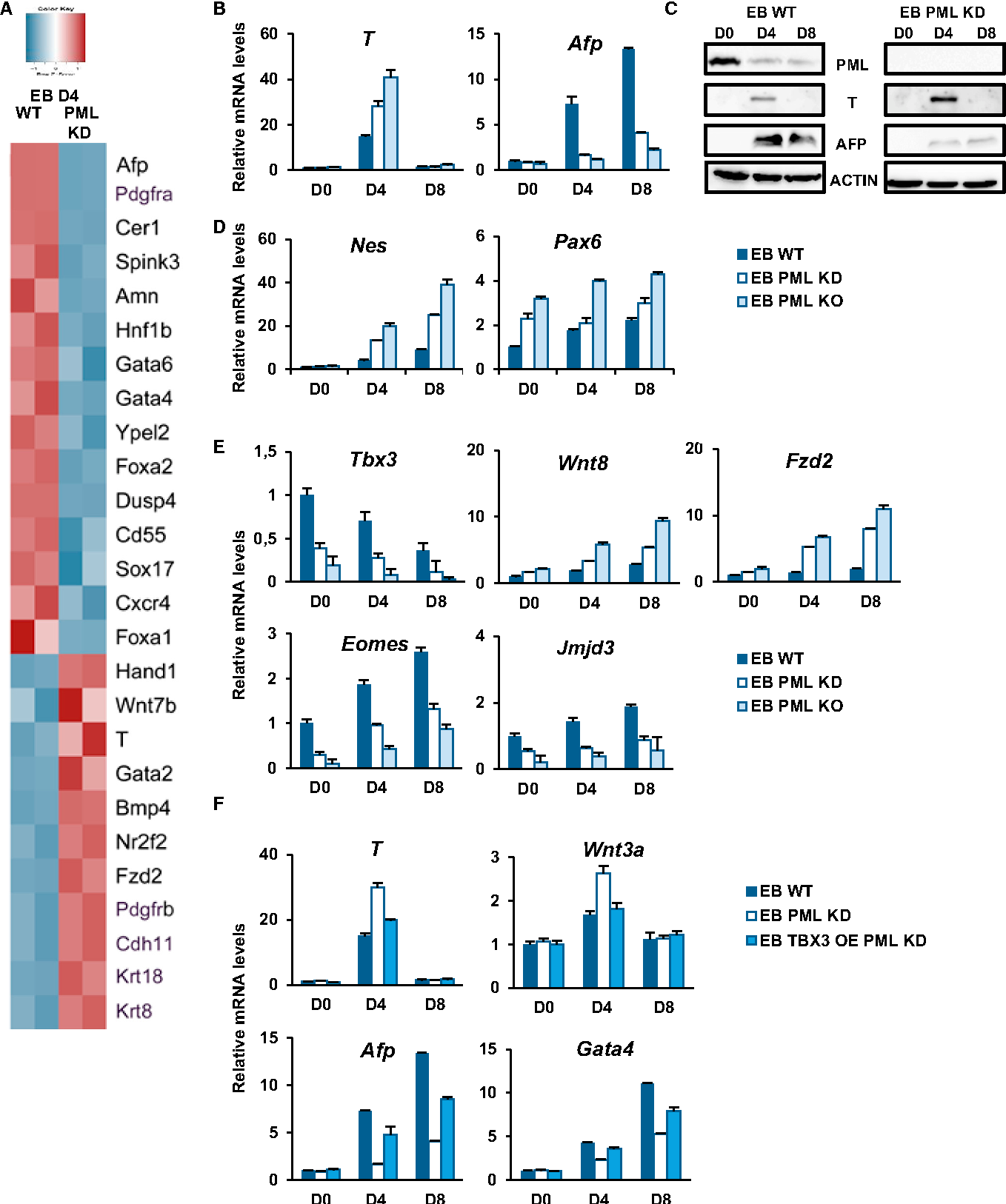 Figure 1 From Promyelocytic Leukemia Protein Is An Essential Regulator