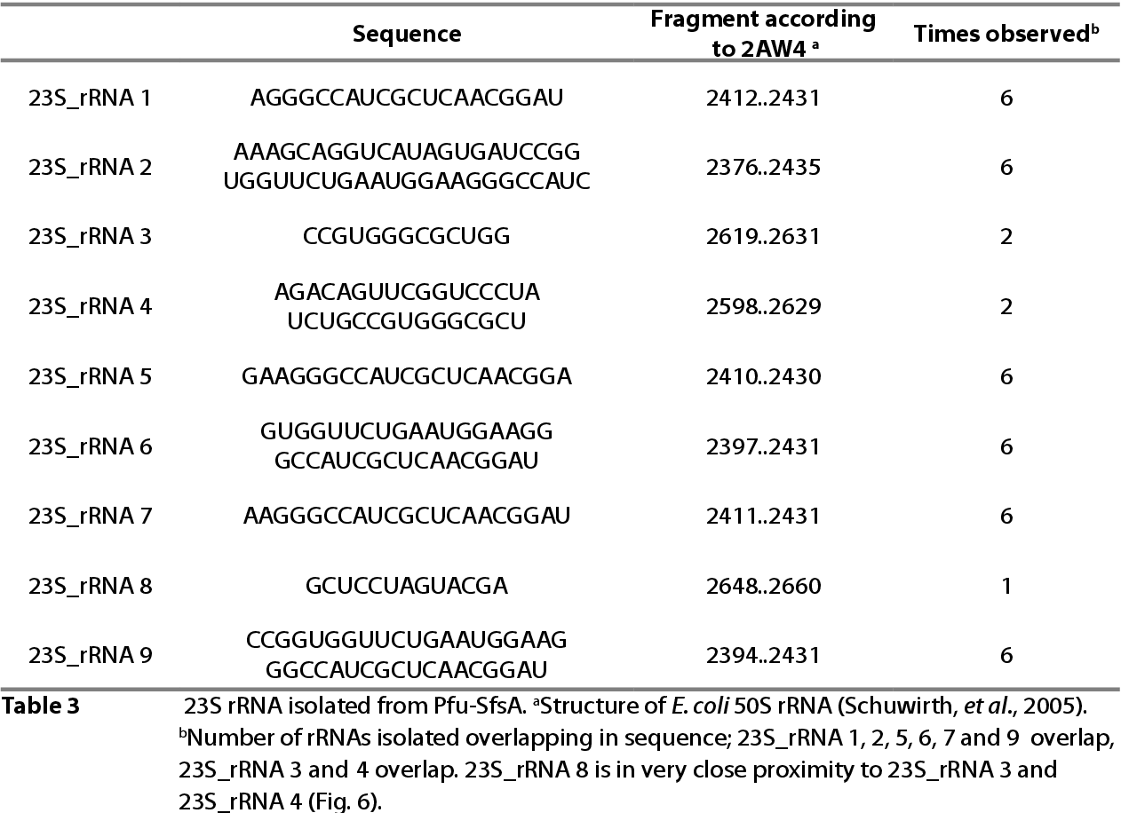 Table 3 From Functional Analysis Of Thermostable Proteins Involved In