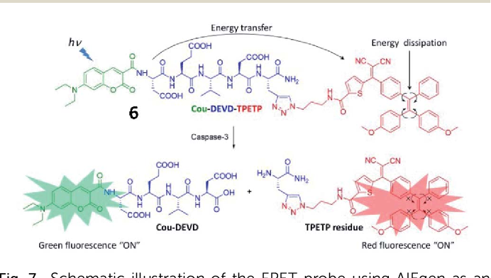 Pdf Fluorescent Probes For Visualizing Ros Associated Proteins In