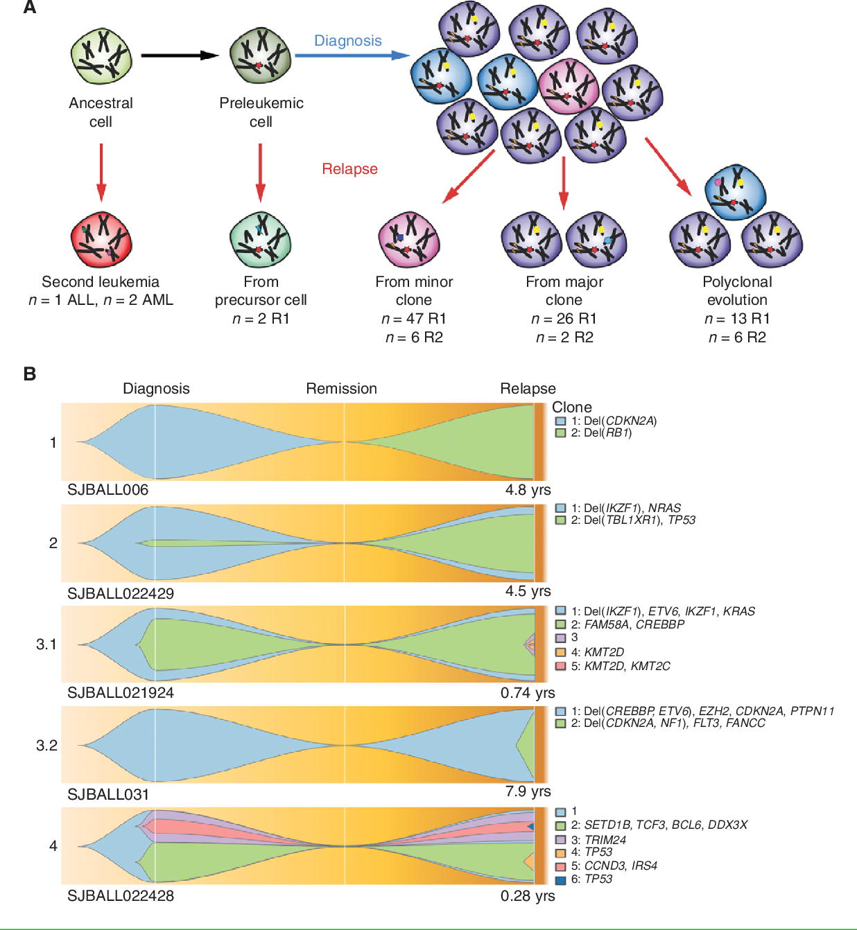 Figure 2 From Mutational Landscape And Patterns Of Clonal Evolution In