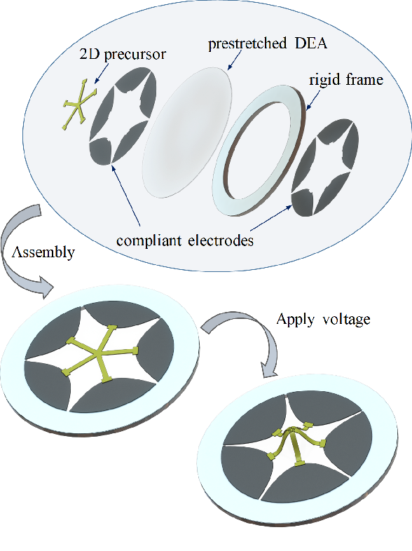 Figure 1 From Buckling Induced Shape Morphing Using Dielectric