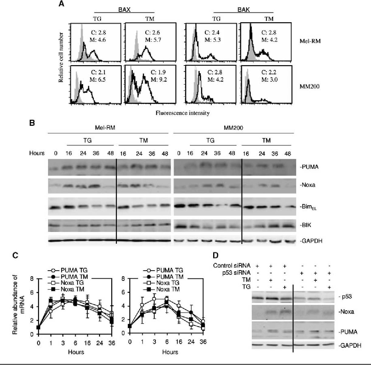 Figure 1 From Up Regulation Of Mcl 1 Is Critical For Survival Of Human