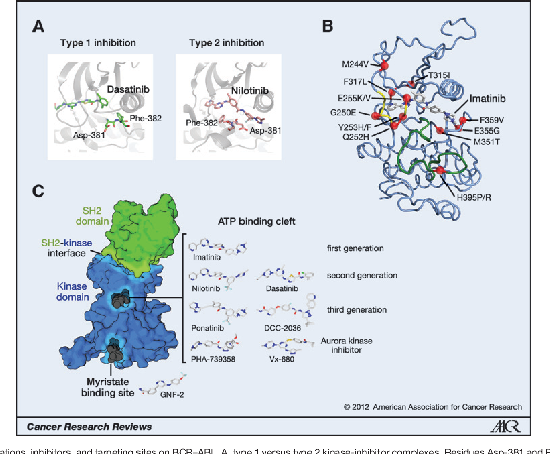 Pdf The Growing Arsenal Of Atp Competitive And Allosteric Inhibitors