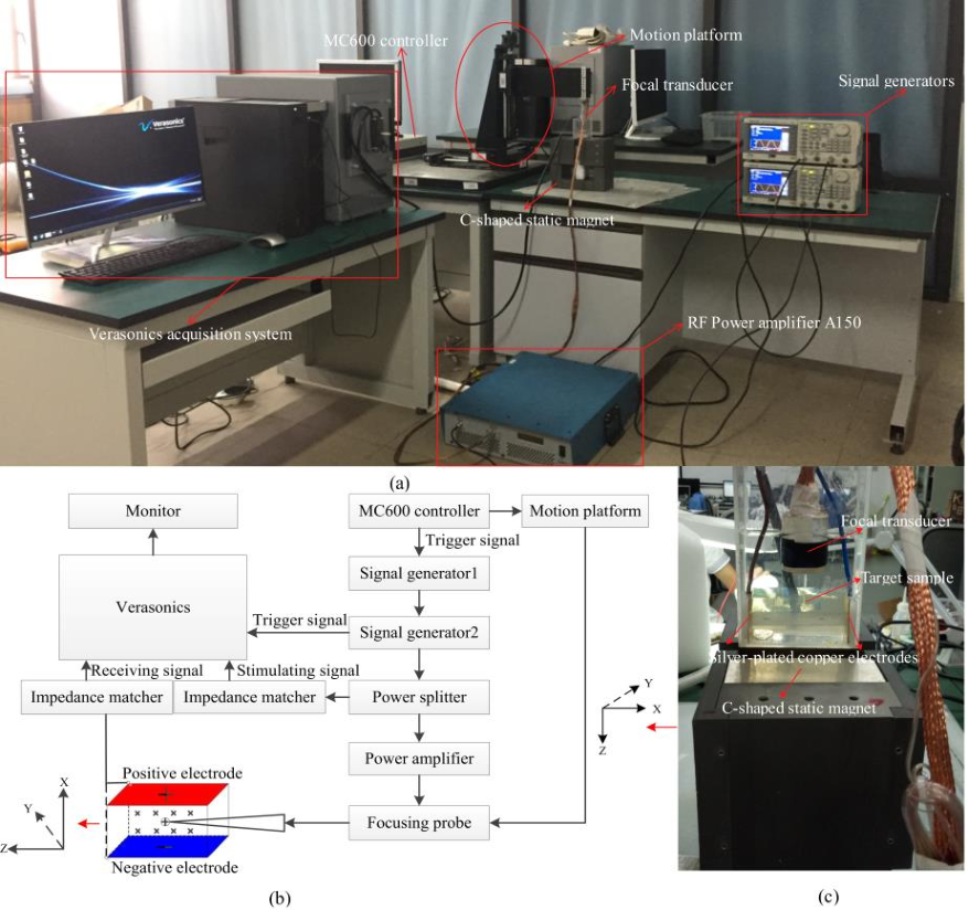 Pdf A 2d Magneto Acousto Electrical Tomography Method To Detect