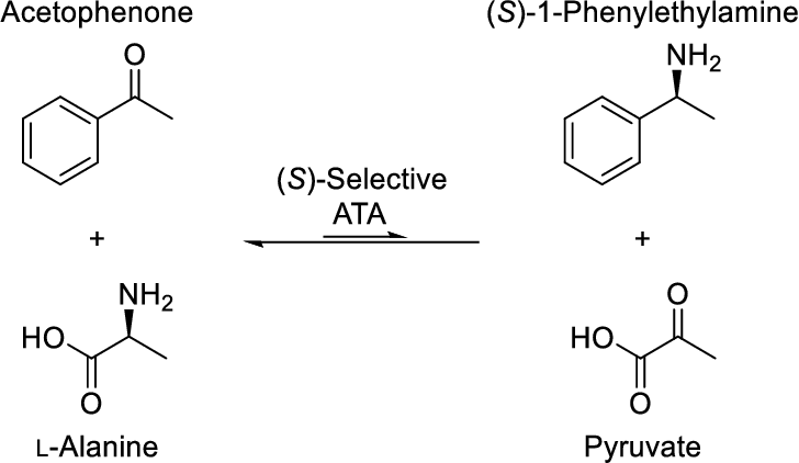 Figure 14 From Amine Transaminases In Multi Step One Pot Reactions