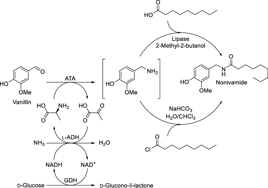 Table 1 From Amine Transaminases In Multi Step One Pot Reactions