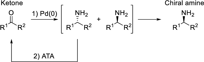 Figure 14 From Amine Transaminases In Multi Step One Pot Reactions