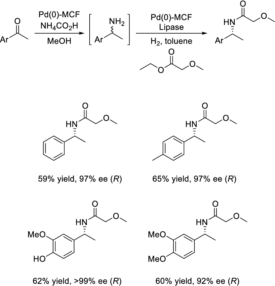 Pdf Amine Transaminases In Multi Step One Pot Reactions Semantic