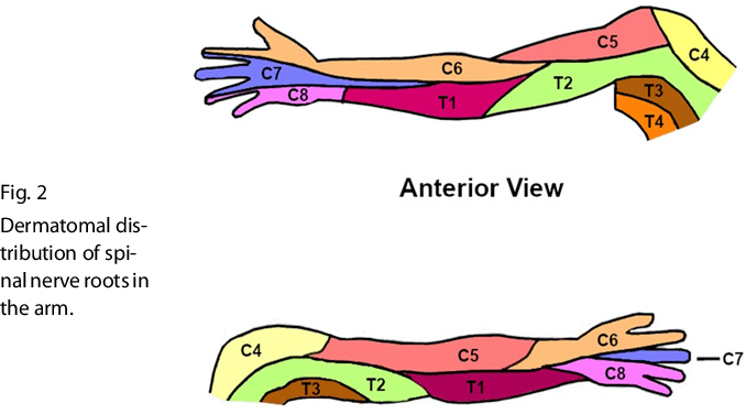 Figure 1 From Clinical Diagnosis Of Common Overlapping Shoulder And