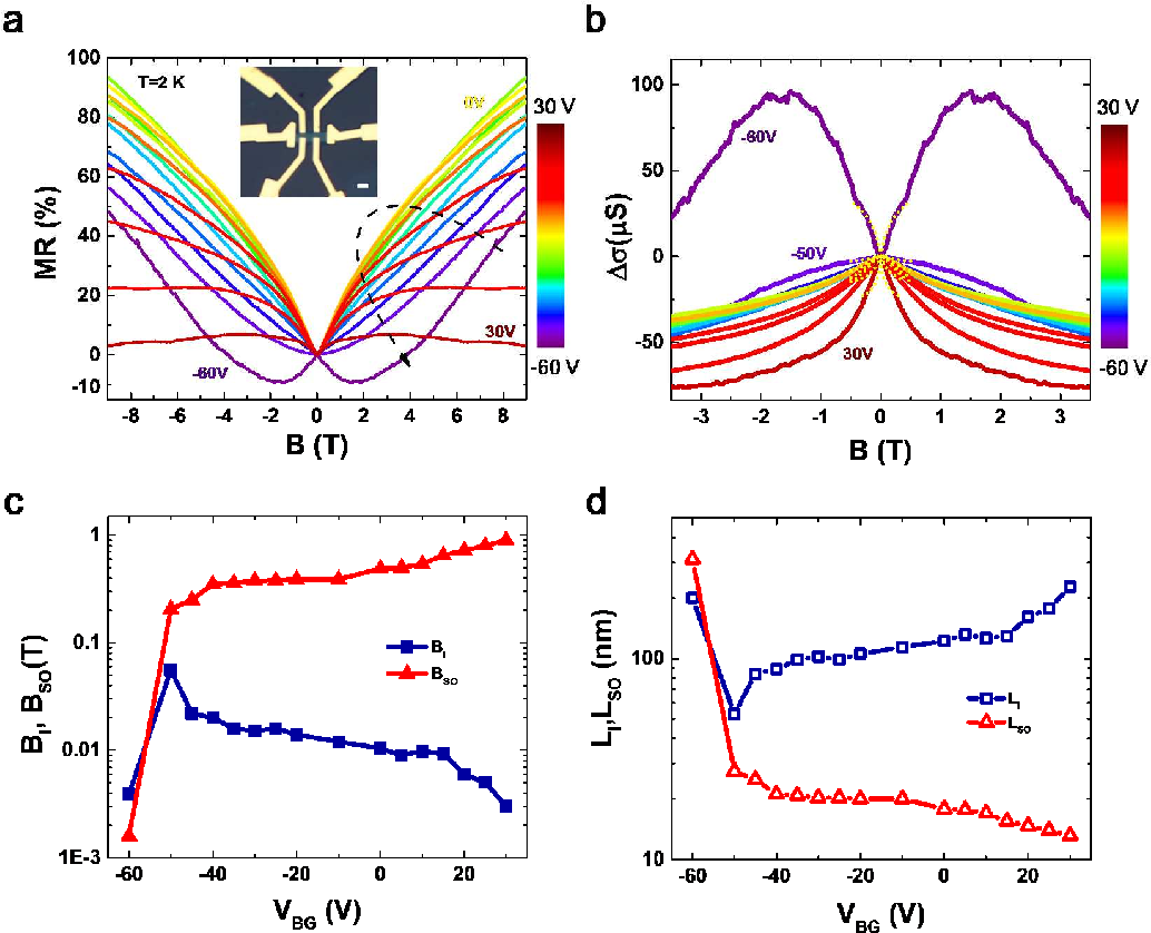 Pdf Tunable Positive To Negative Magnetoresistance In Atomically Thin