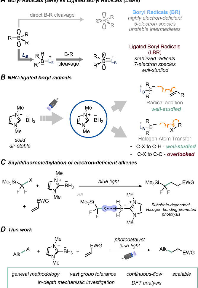 Figure 1 From Photoinduced Halogen Atom Transfer By N Heterocyclic