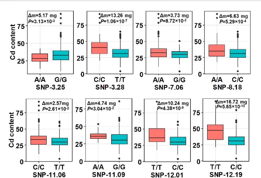 Figure 1 From Mining Candidate Genes For Rice Cadmium Accumulation In