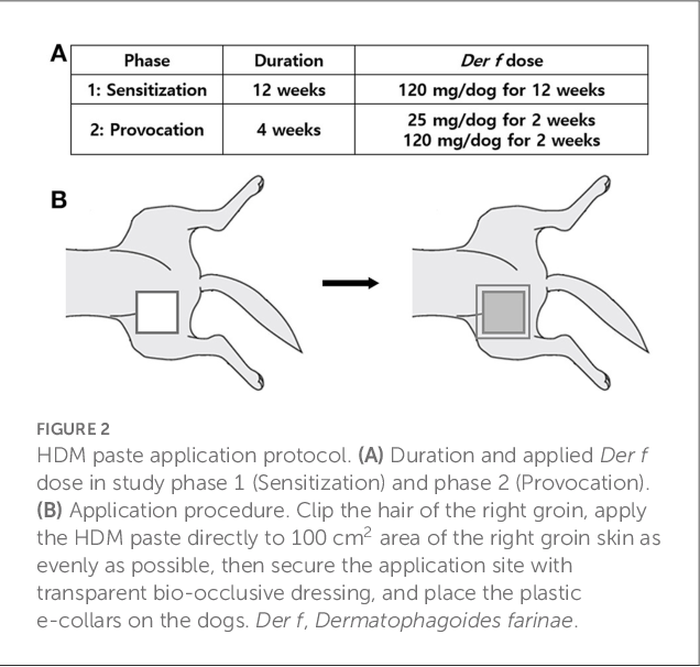 Figure 1 From Establishing An Experimental Model For Canine Atopic