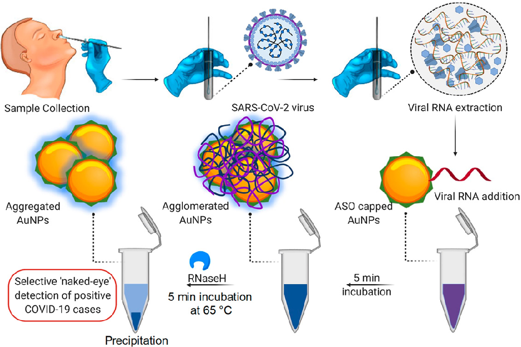 Figure 1 From Nanotechnology Based Strategies For Effective And Rapid