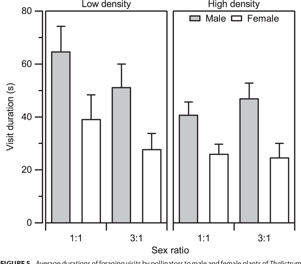 Figure 2 From Influence Of Local Density And Sex Ratio On Pollination