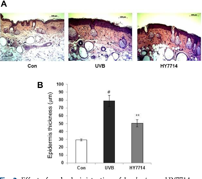 Figure 2 From Effect Of Oral Administration Of Lactobacillus Plantarum