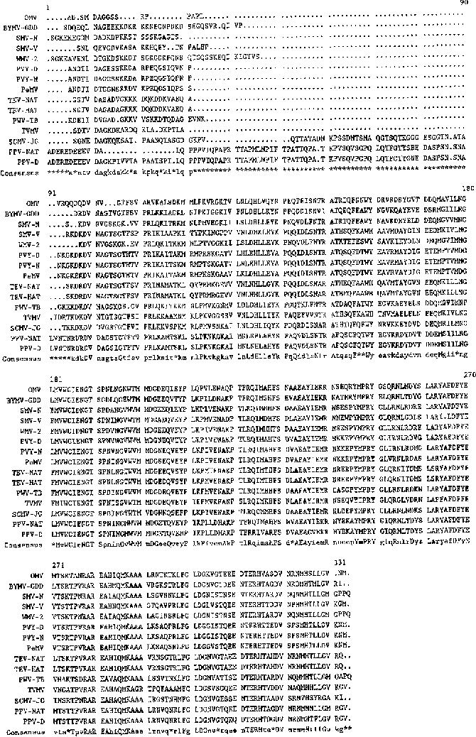 Figure 1 From The Molecular Cloning And Nucleotide Sequencing Of The 3