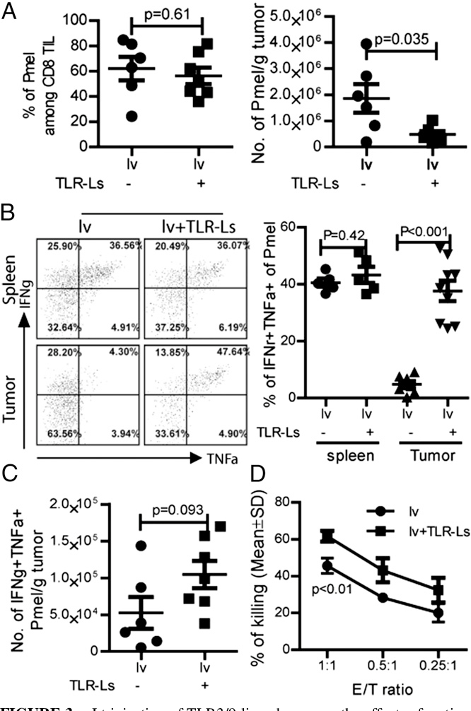 Figure 3 From Local Administration Of Tlr Ligands Rescues The Function