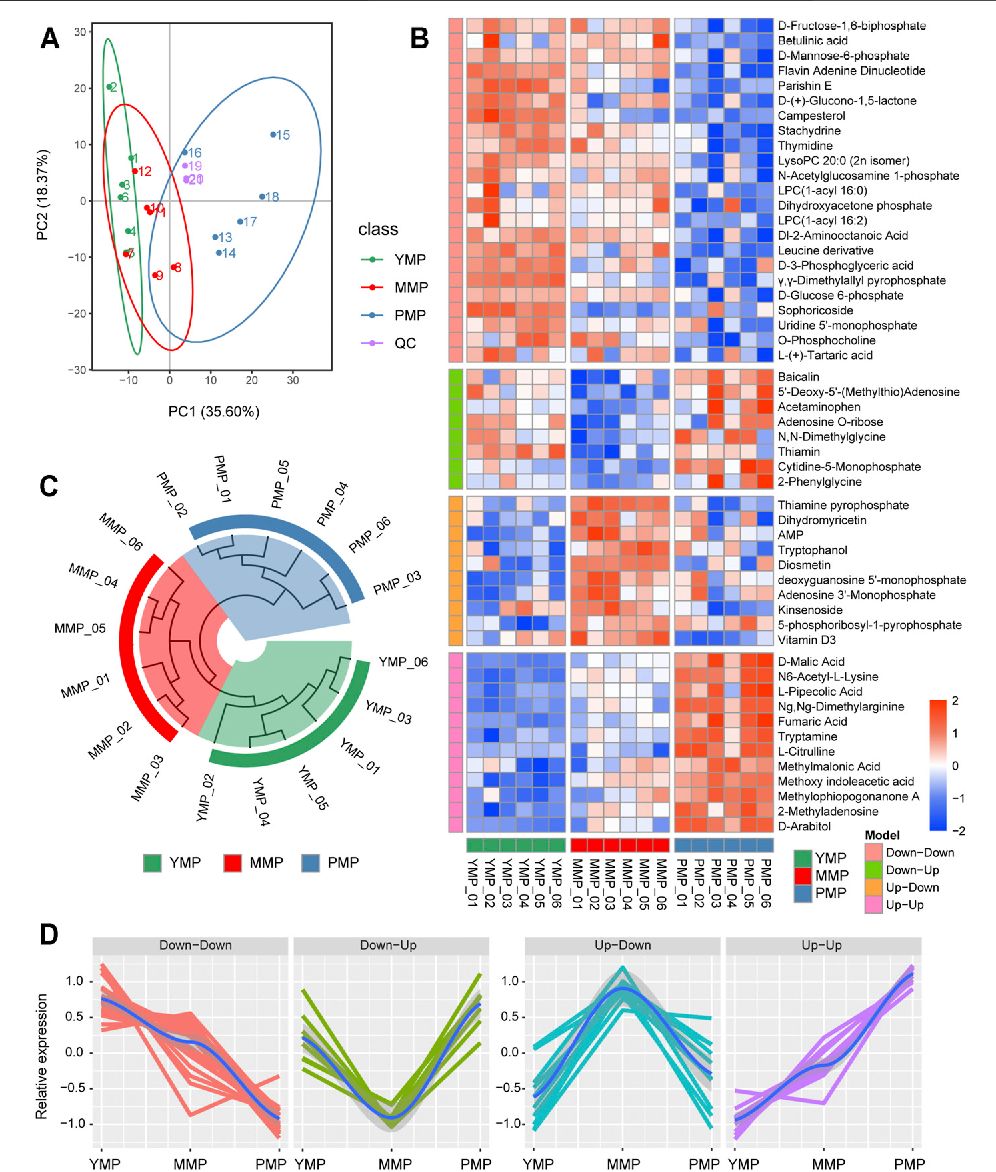 Integration Of Transcriptomics And Metabolomics For Understanding The