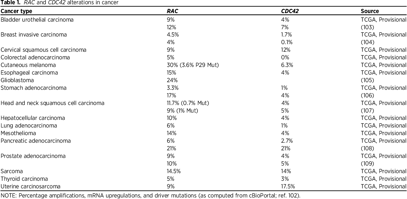 Figure 1 From Targeting Rac And Cdc42 Gtpases In Cancer Semantic Scholar