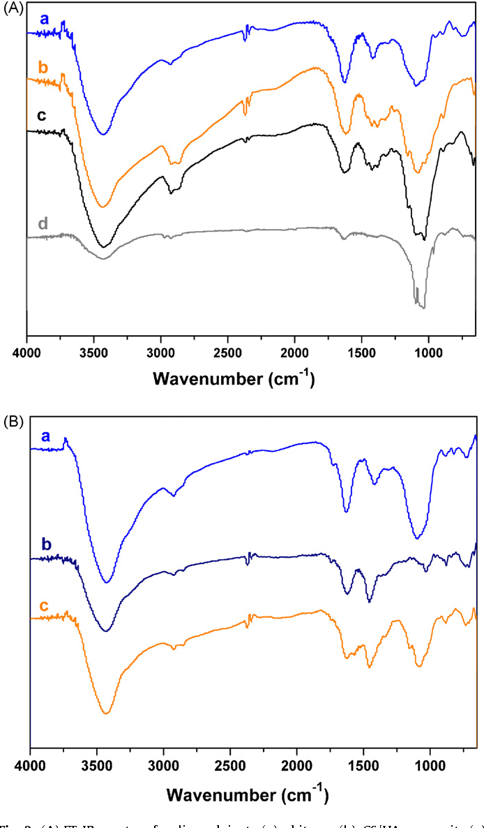 Figure 1 From Alginate Chitosanhydroxyapatite Polyelectrolyte Complex