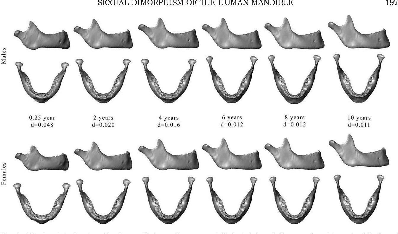 Pdf Sexual Dimorphism Of The Human Mandible And Its Association With