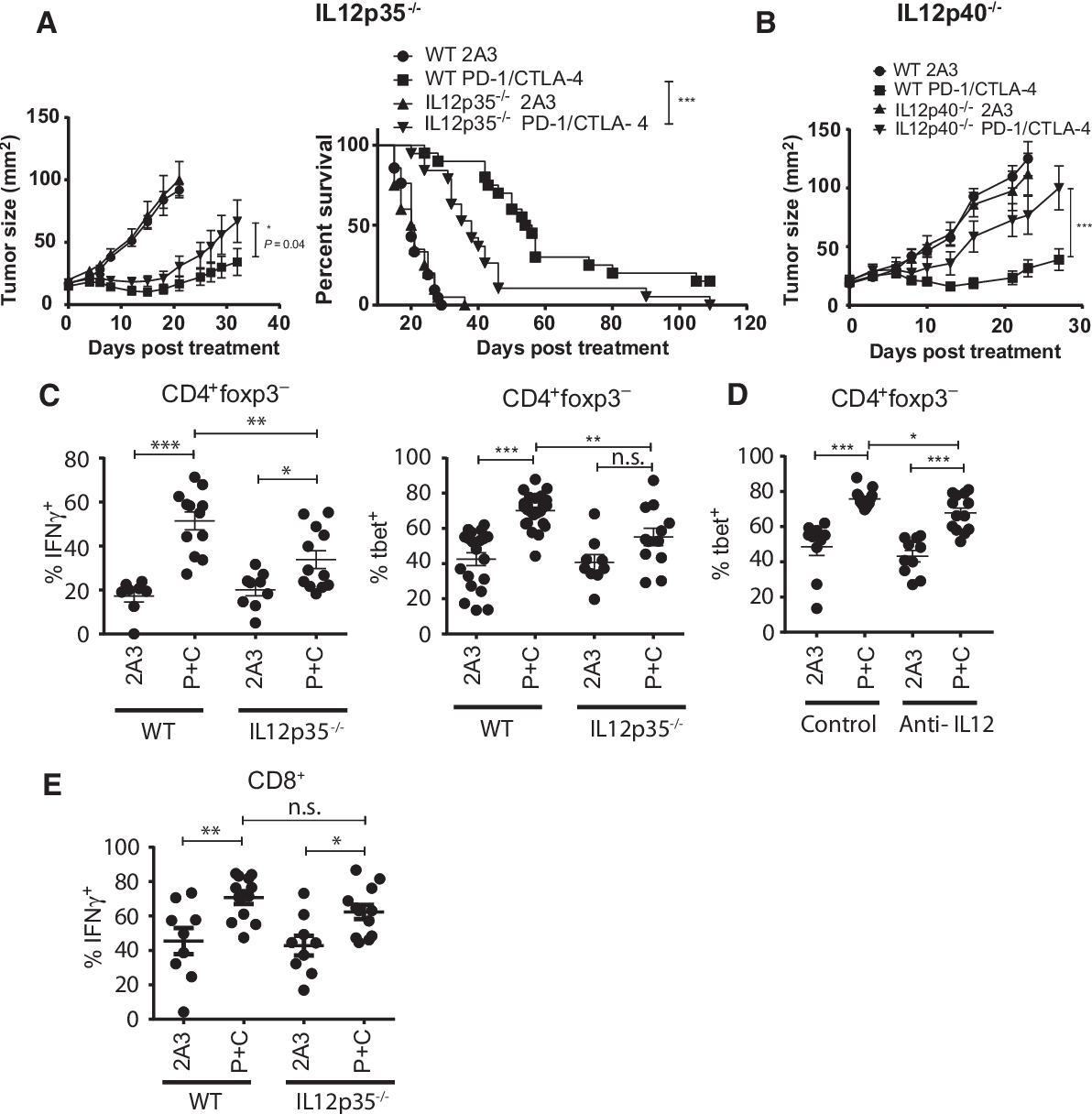 Pdf Dual Pd 1 And Ctla 4 Checkpoint Blockade Promotes Antitumor