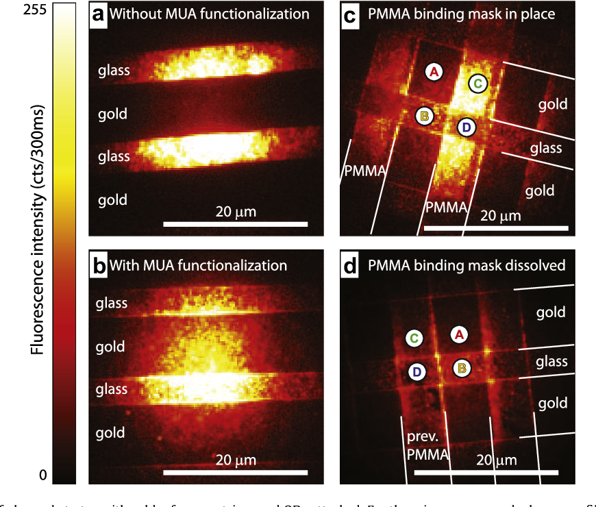 Figure 3 From Nanoscale Lithographic Positioning Of Fluorescing Quantum