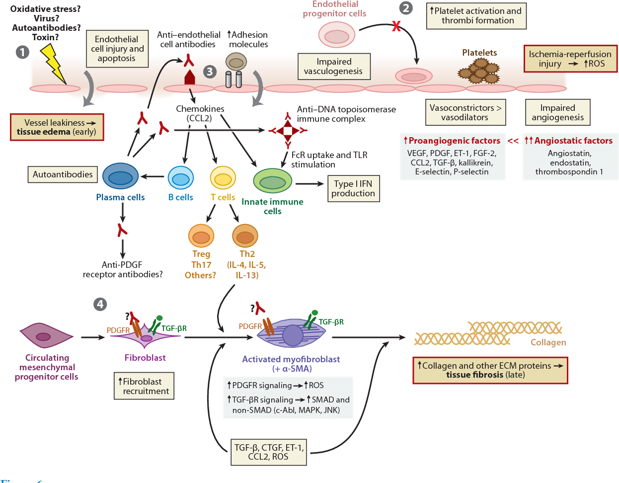 Pathogenesis Of Multiple Sclerosis