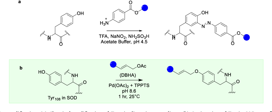 Table 1 From Chemical Modifications Of Proteins And Their Applications