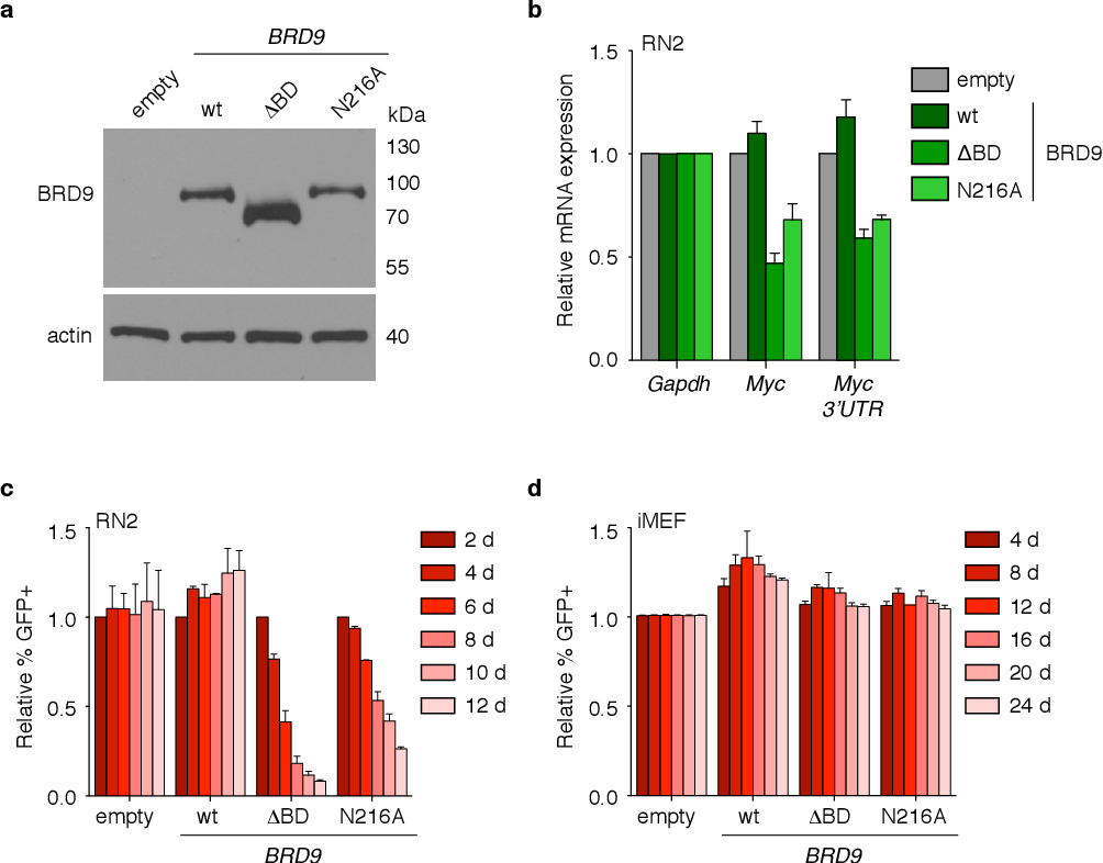 Figure 1 From Function And Inhibition Of Brd9 In Acute Myeloid Leukemia