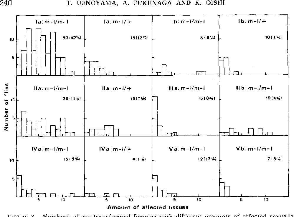 Figure 1 From Studies On The Sex Specific Lethals Of Drosophila