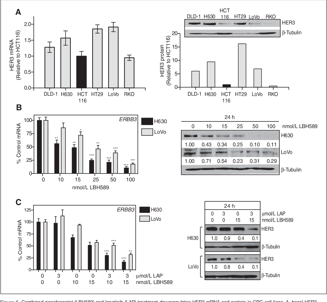 Table 1 From The Dual Egfrher2 Inhibitor Lapatinib Synergistically