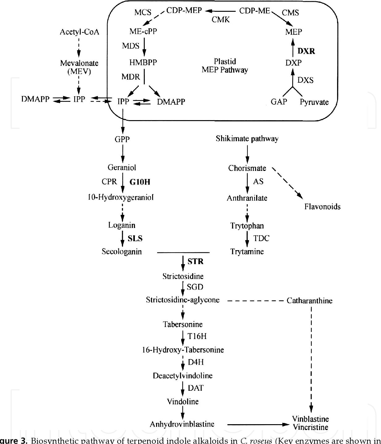 Pdf Production Of Useful Secondary Metabolites Through Regulation Of