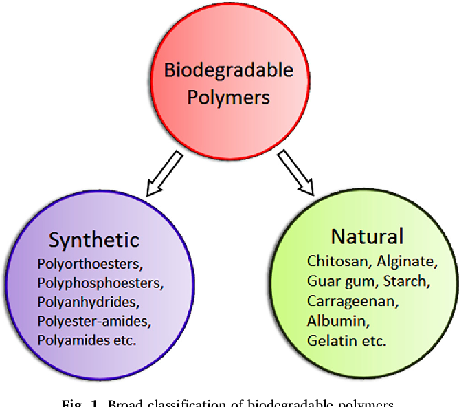 Natural Biodegradable Polymers Based Nano‐formulations For Drug