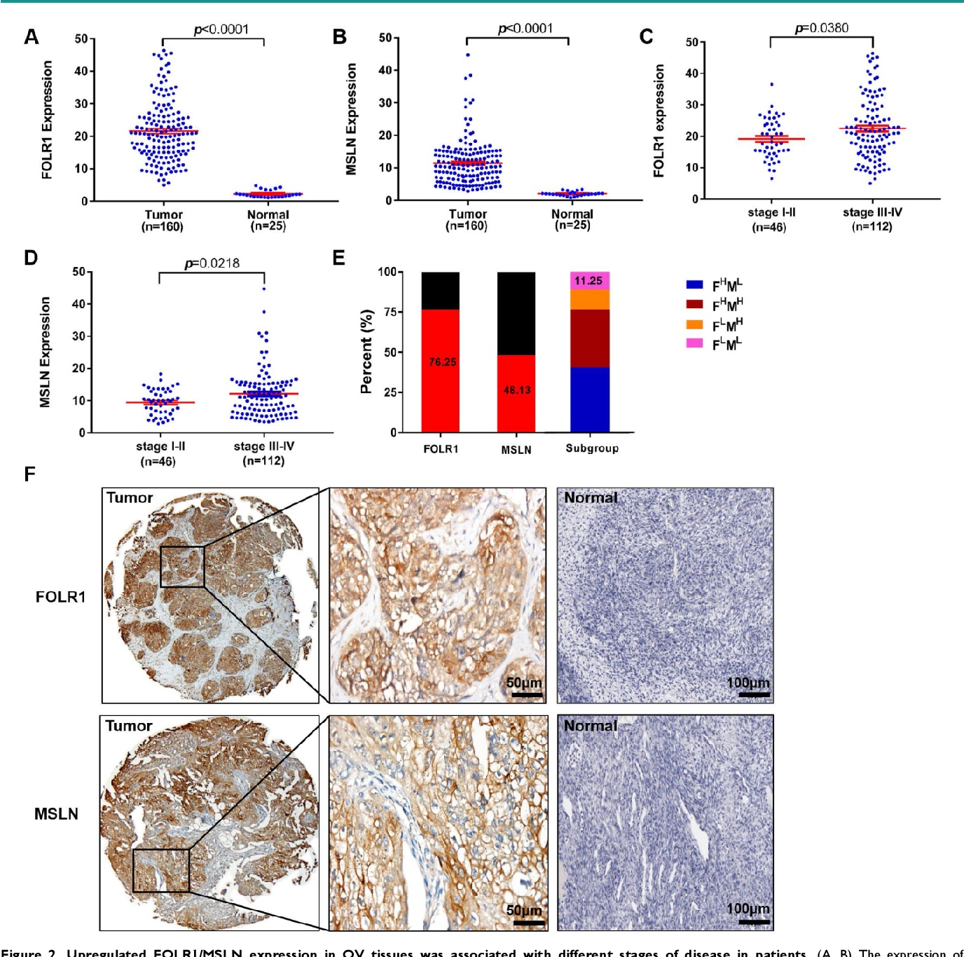 Pdf Tandem Car T Cells Targeting Folr1 And Msln Enhance The Antitumor