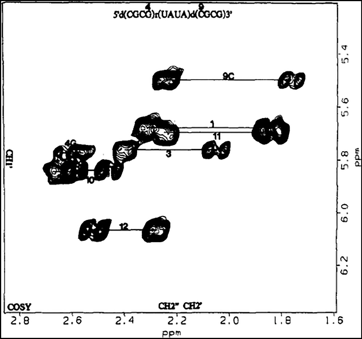 Figure 1 From High Resolution Nmr Studies Of Chimeric Dna Rna Dna