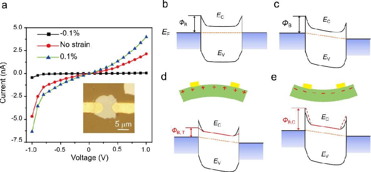 Pdf Out Of Plane Piezoelectricity And Ferroelectricity In Layered α