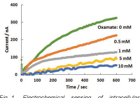 Figure 1 From P1bs18 Electrochemical Sensing And Consumption Of